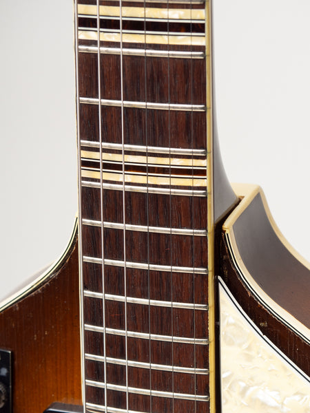 Vintage 1968 Hofner 459TZ Hollowbody Bass – TR Crandall Guitars