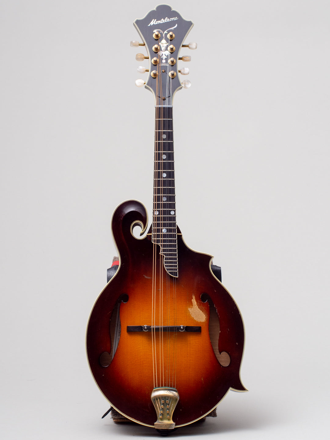 Mandolin Family – TR Crandall Guitars